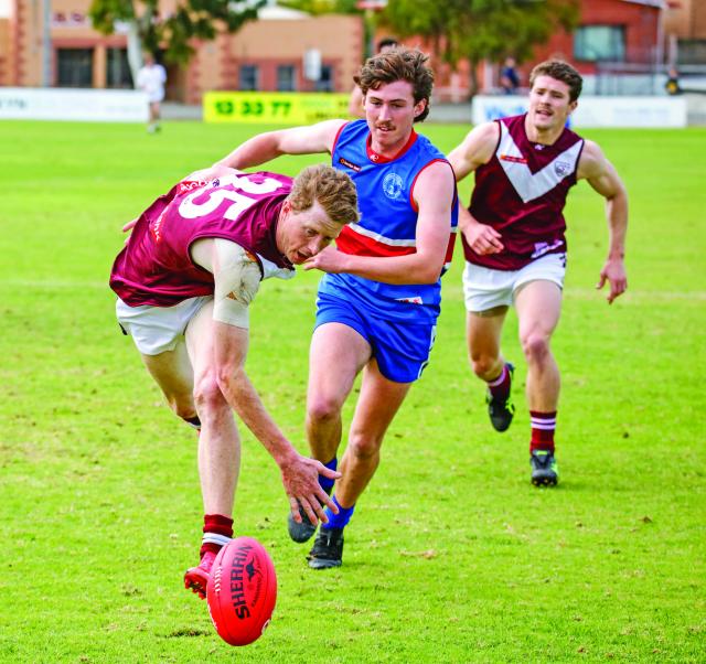 Great Flinders bringing wealth of experience to shield | Port Lincoln Times