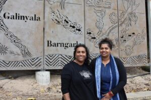 Barngarla culture depicted through art project | Port Lincoln Times