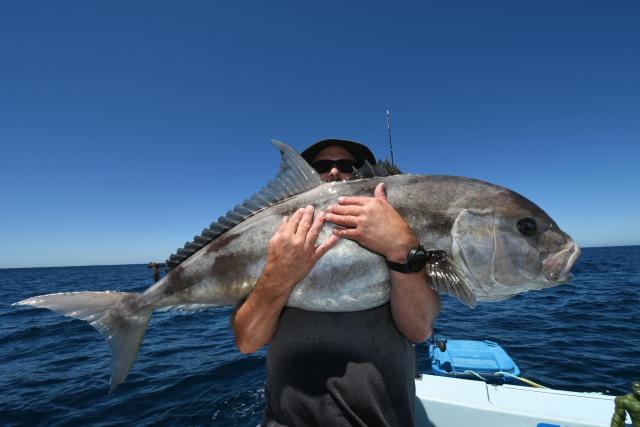 Samson fish a good target | Port Lincoln Times