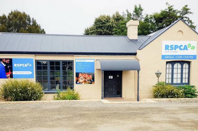 Cat’s out the bag – RSPCA closes | Port Lincoln Times