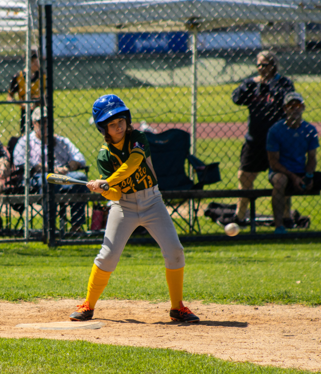 Tigers could not be tamed | Port Lincoln Times