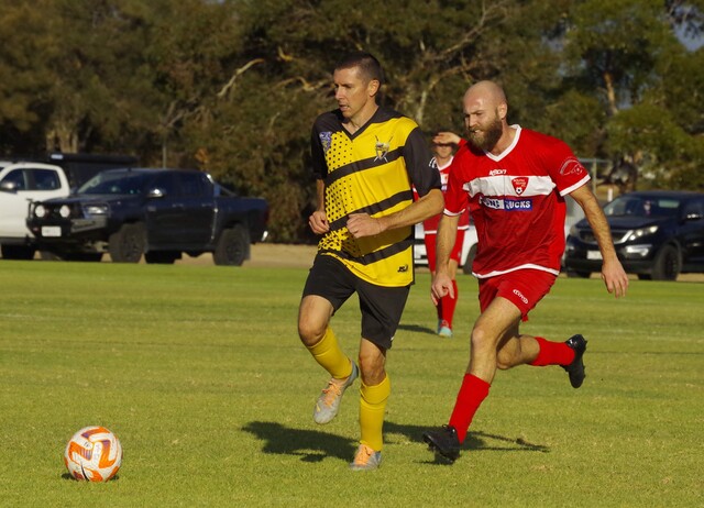 Masterful Sekol victory | Port Lincoln Times
