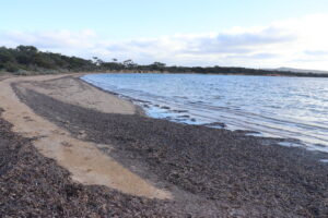 Sotwe ngintip bokep assuming that the woman appeared